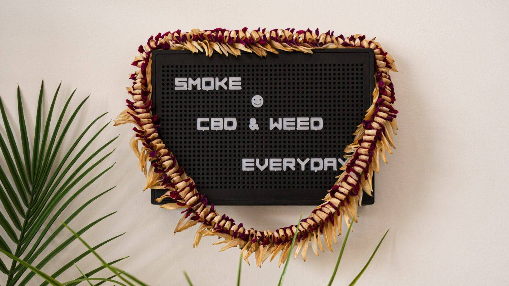 Airport - Express | Hemptuary Hawaii